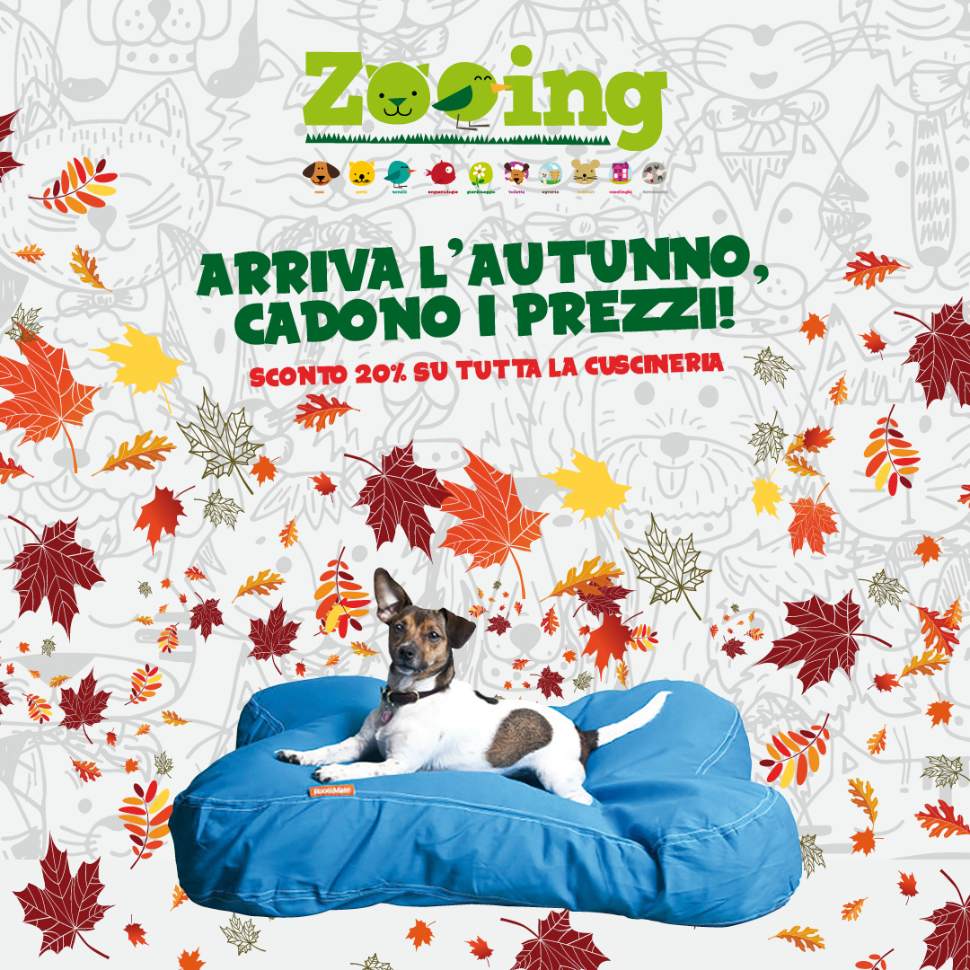 immagine_per_ppc_facebook_1080x1080px_zooing_offerte_dal_05.11.2022_al ...