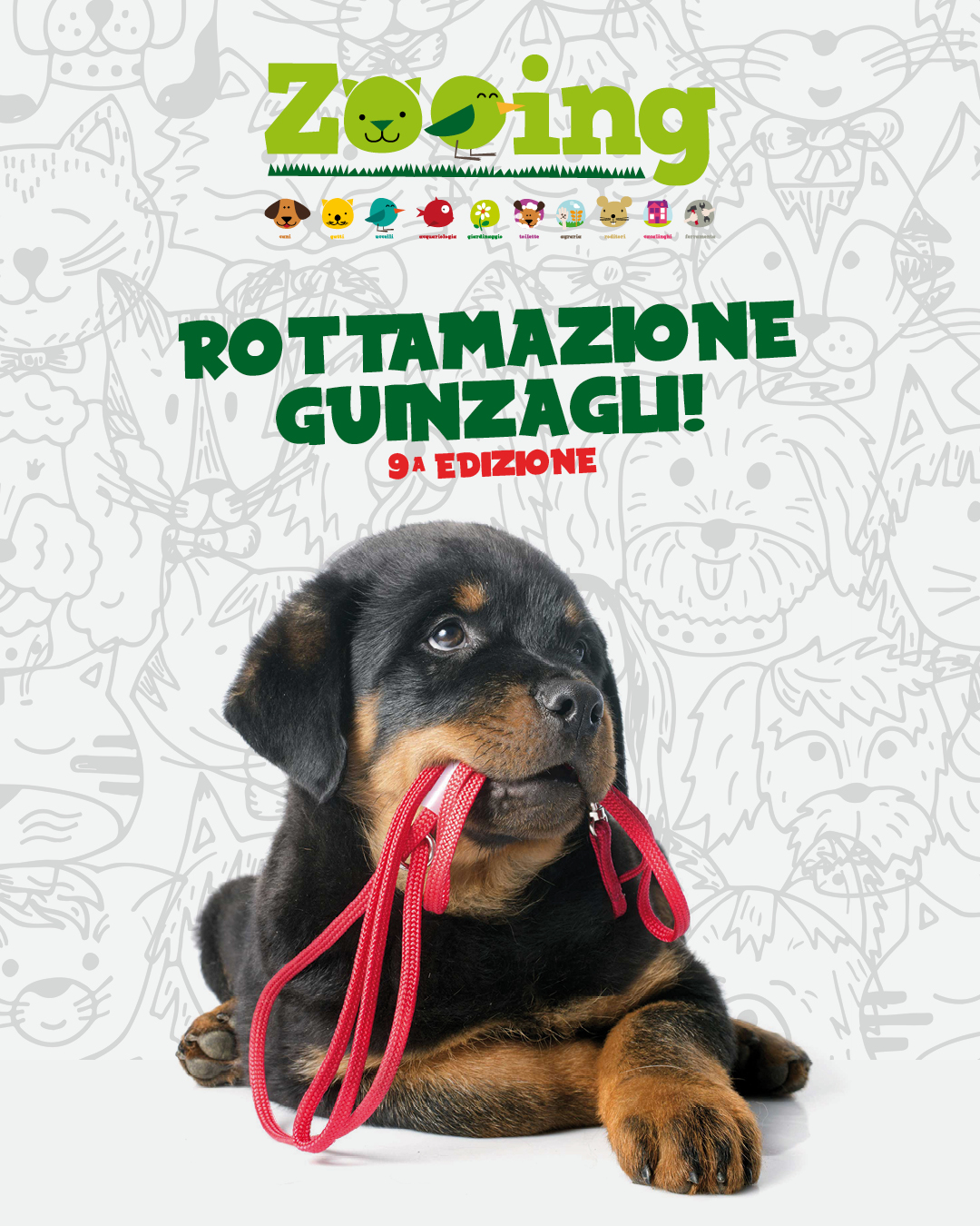 Zooing: Cibo e accessori per cani, gatti e animali domestici